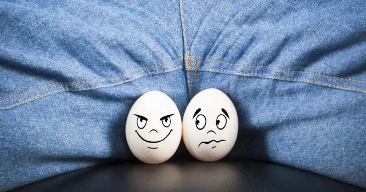 Reproductive Organs Of A Man: Know More About Male Anatomy