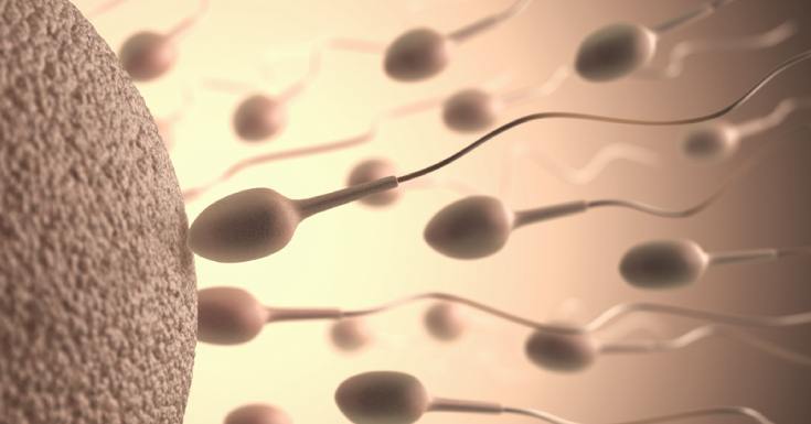 What is Hypospermia - Causes, Symptoms, Treatments and More